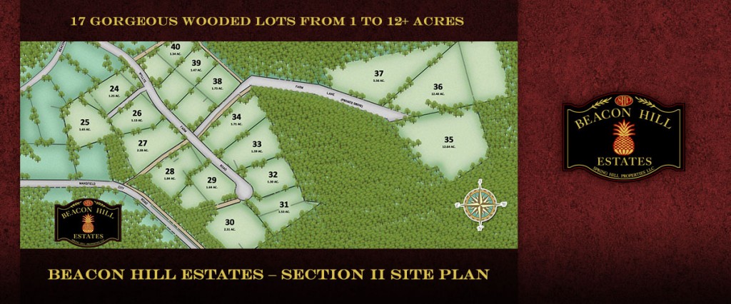 Section II Site Plan - Spring Hill Builders and Remodelers, LLC